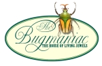 The Bugmaniac INSECTS FOR SALE